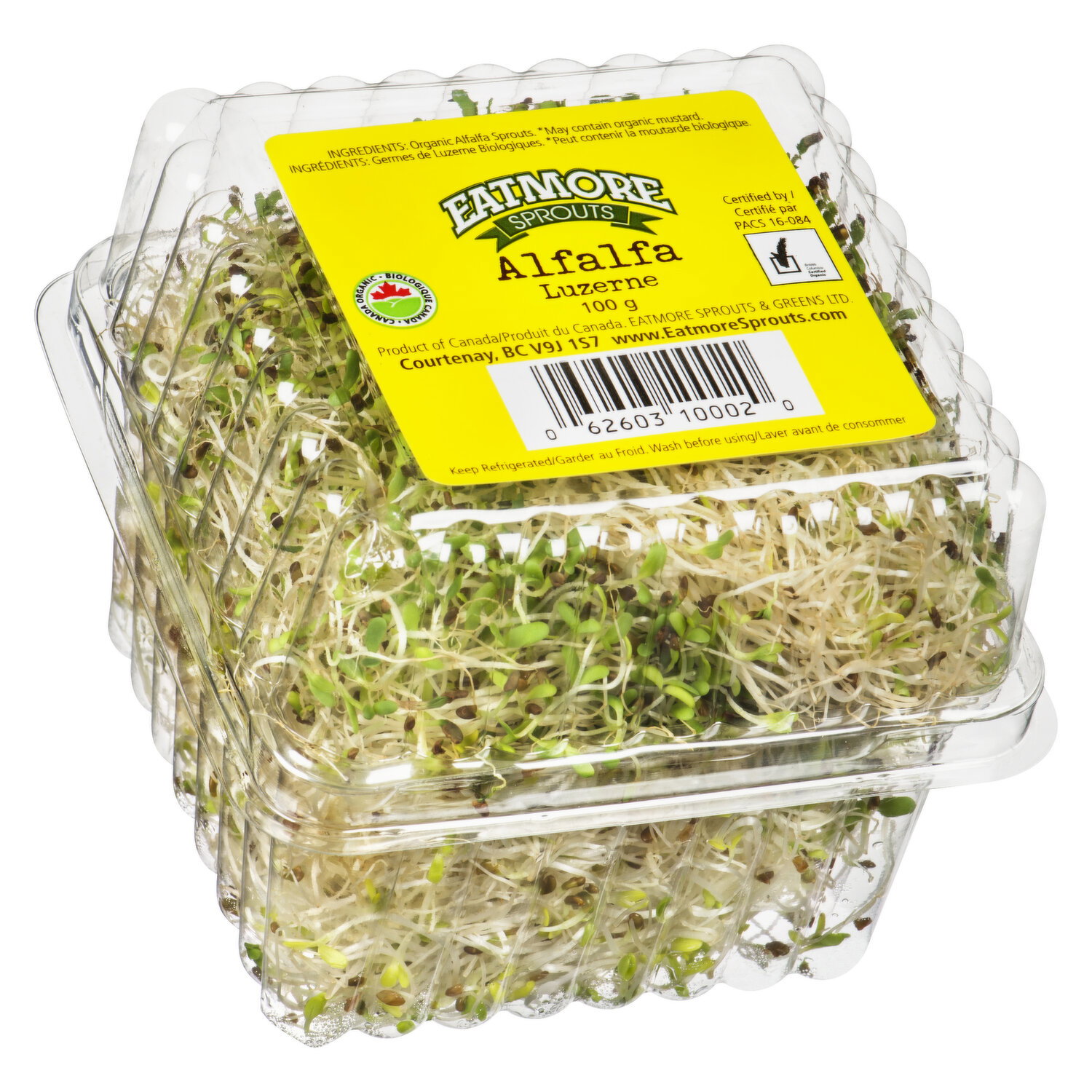Alfalfa Sprouts Alfalfa Sprouts | Holland Bulb Farms | 75734
